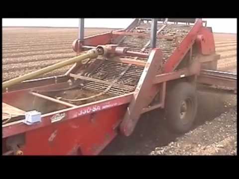 Destoner - De Stoner Latest Price, Manufacturers & Suppliers