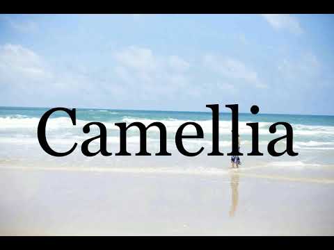 How To Pronounce Camellia🌈🌈🌈🌈🌈🌈Pronunciation Of Camellia