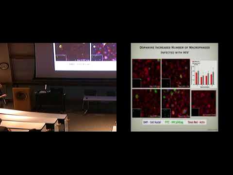 Dopamine increases Macrophages Susceptibility to HIV infection