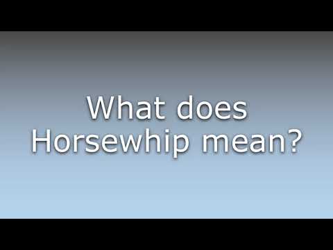 What does Horsewhip mean?