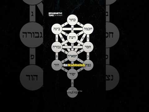 Jewish Wisdom | The Universal Law that governs your Reality