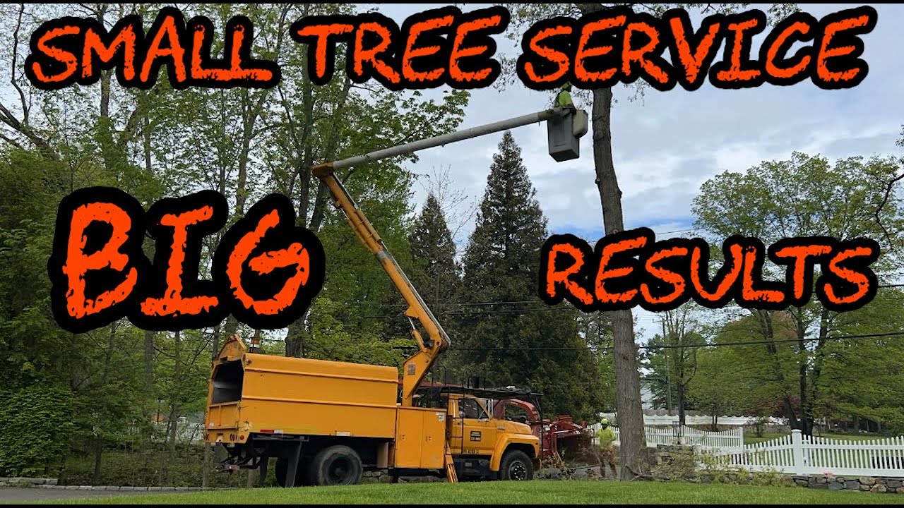 #225 Small Tree Service BIG Results! Oak Tree Removal with Wicked Grapple