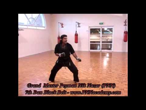 Grand Master Peyman NikNazar (PNN) - Power of His Kicks -Australia