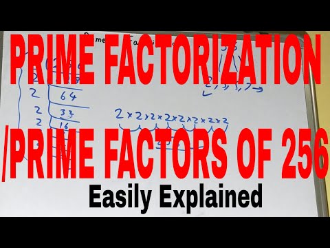 Prime factorization of 256|Prime factors of 256|Write prime factorization of 256|256 prime factors