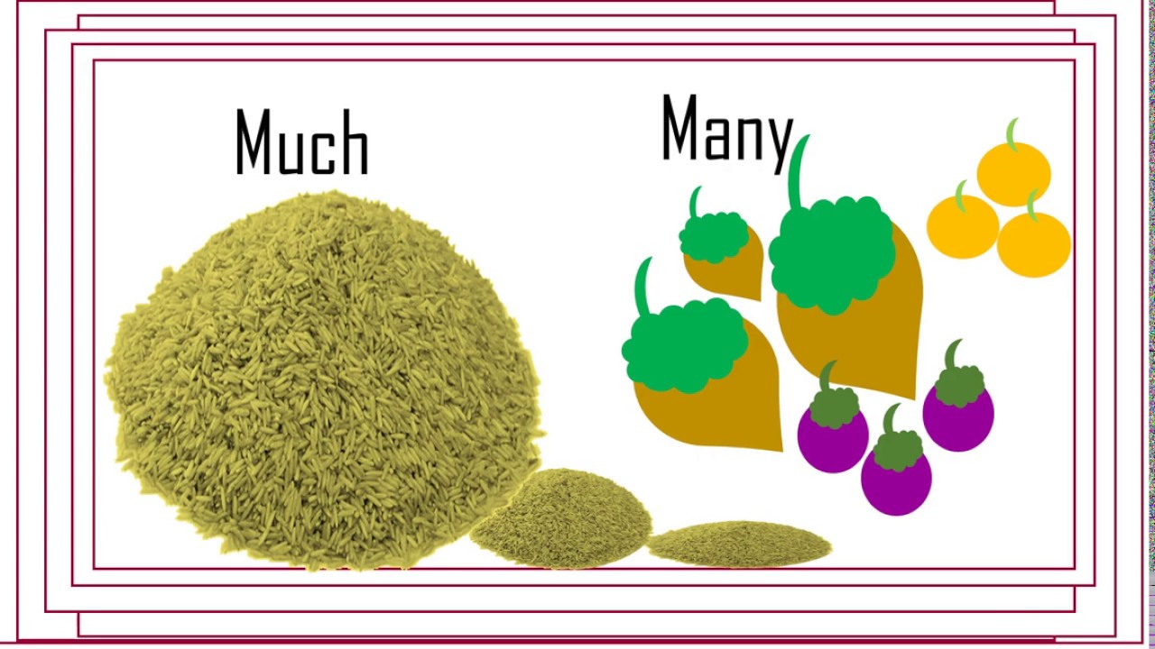Much and Many - Basic English Grammar