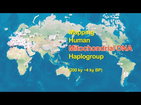Where did the mtDNA haplogroups live?