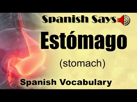 Estómago - How to Say / Pronounce Estómago - Stomach in Spanish | Spanish Says