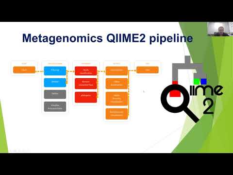 Developing a Singularity container for a complete metagenomics workflow with interactive outputs