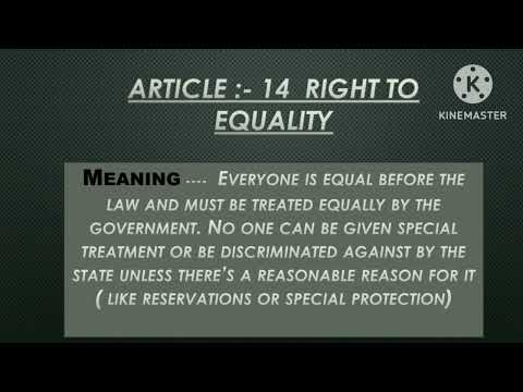 What is Article 14? | Right to Equality Explained in Simple Words | The Blushy Brief