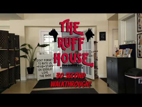 The Ruff House Dog Center: 30-Second Dog Daycare Walk-through!