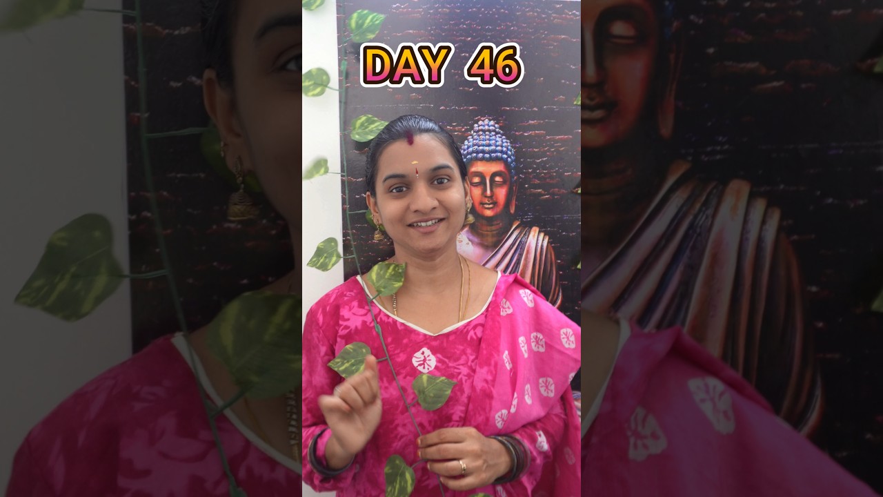 ₹ 193 What Food ? #hungrykalai #foodchallenge #budgetcooking