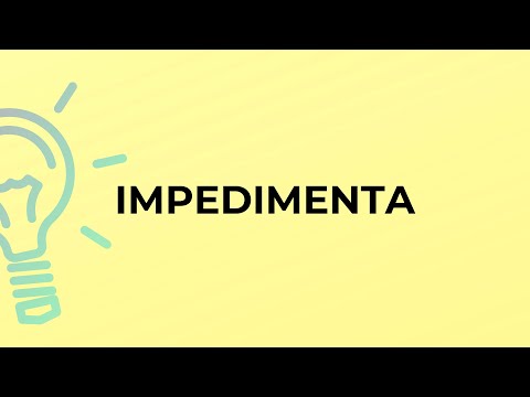 What is the meaning of the word IMPEDIMENTA?