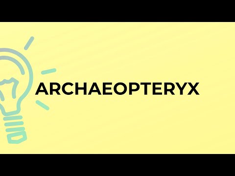 What is the meaning of the word ARCHAEOPTERYX?