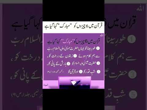 Islamic Quotes & Golden Words in Urdu #shorts #islamic #trending