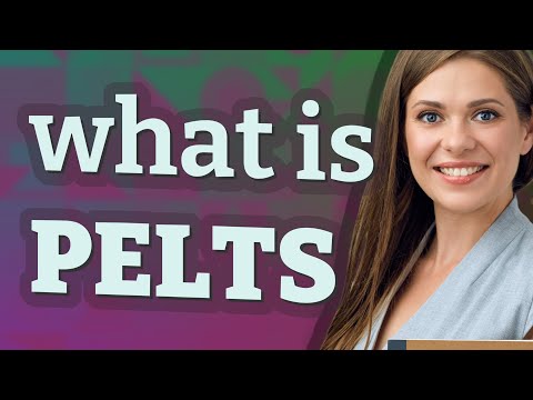 Pelts | meaning of Pelts