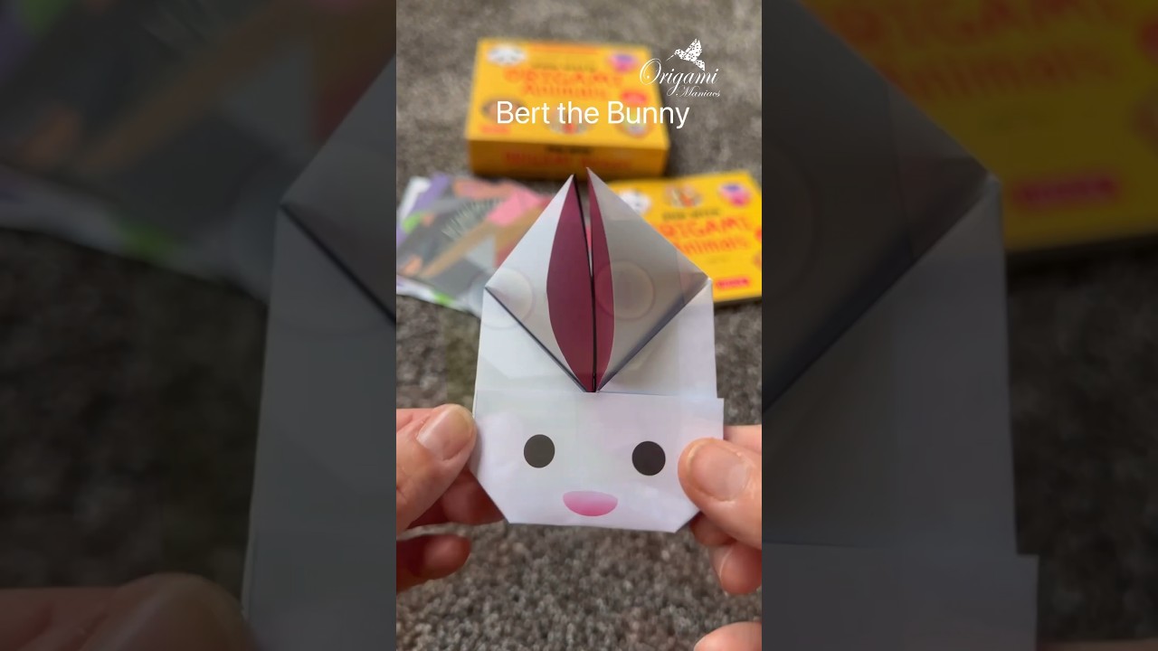 Super Fun Origami Animals Kit