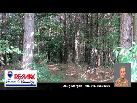 Lots And Land for sale - LT23 Foxpaw Leaf Lane, Ellijay, GA 30536