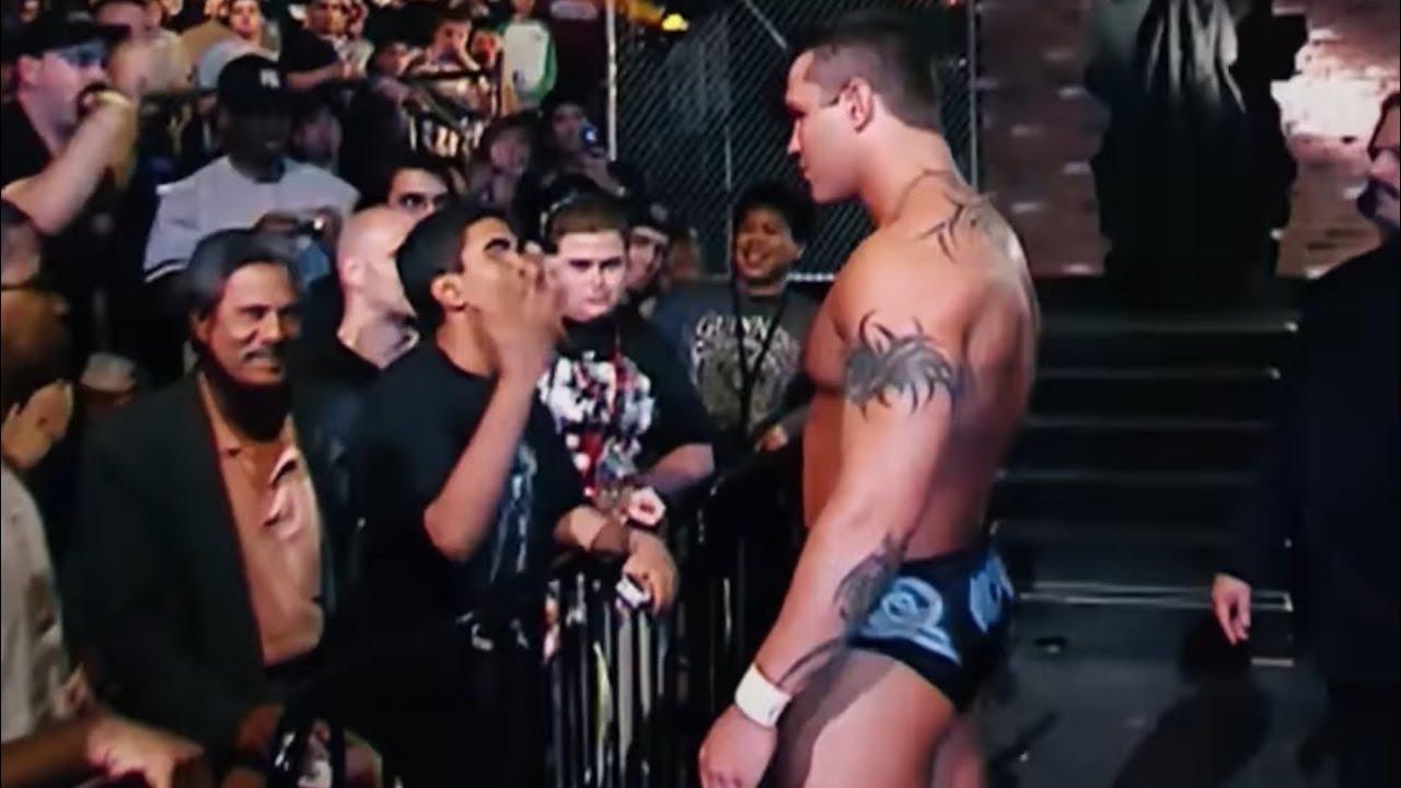 When Fans Trigger WWE Wrestlers