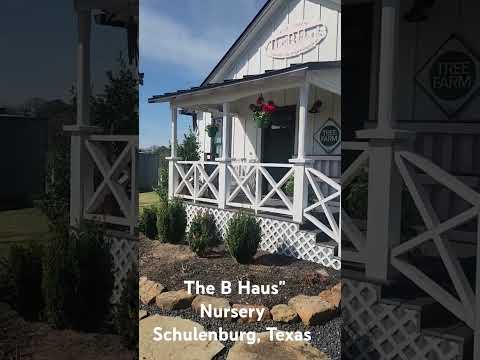 We Visted this Amazing Nursery , this morning, check it out!#garden #displays #plants #Nurseries