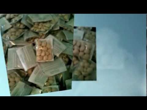 Nuez de la India