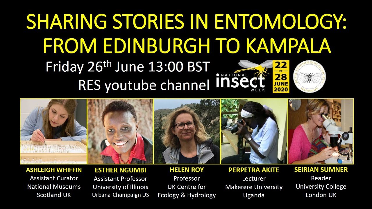 National Insect Week 2020  - Sharing Stories in Entomology, from Edinburgh to Kampala.