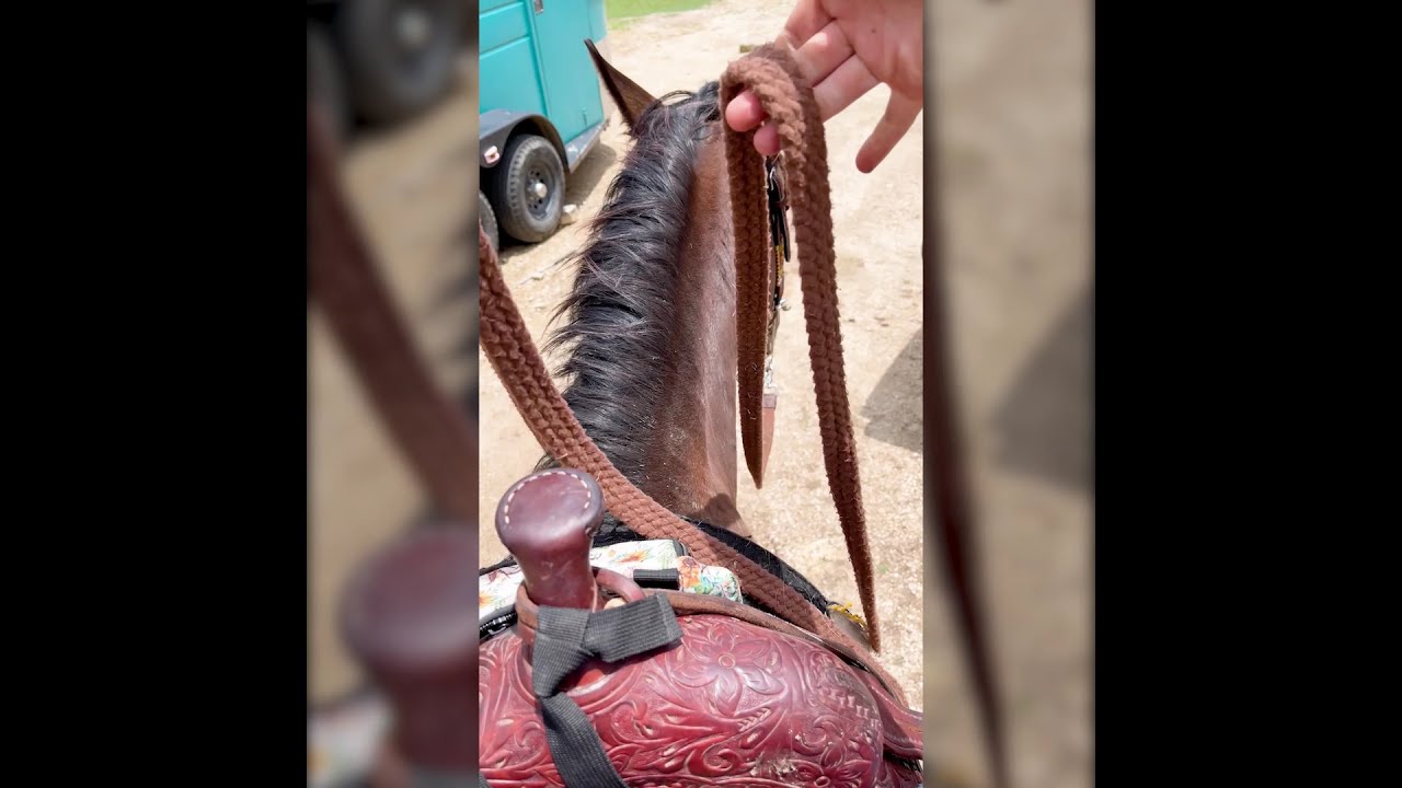 The Proper Way to Hold Split Reins