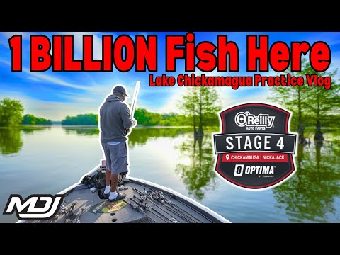 There Are A BILLION FISH Here (Lake Chickamauga Practice - 4K)
