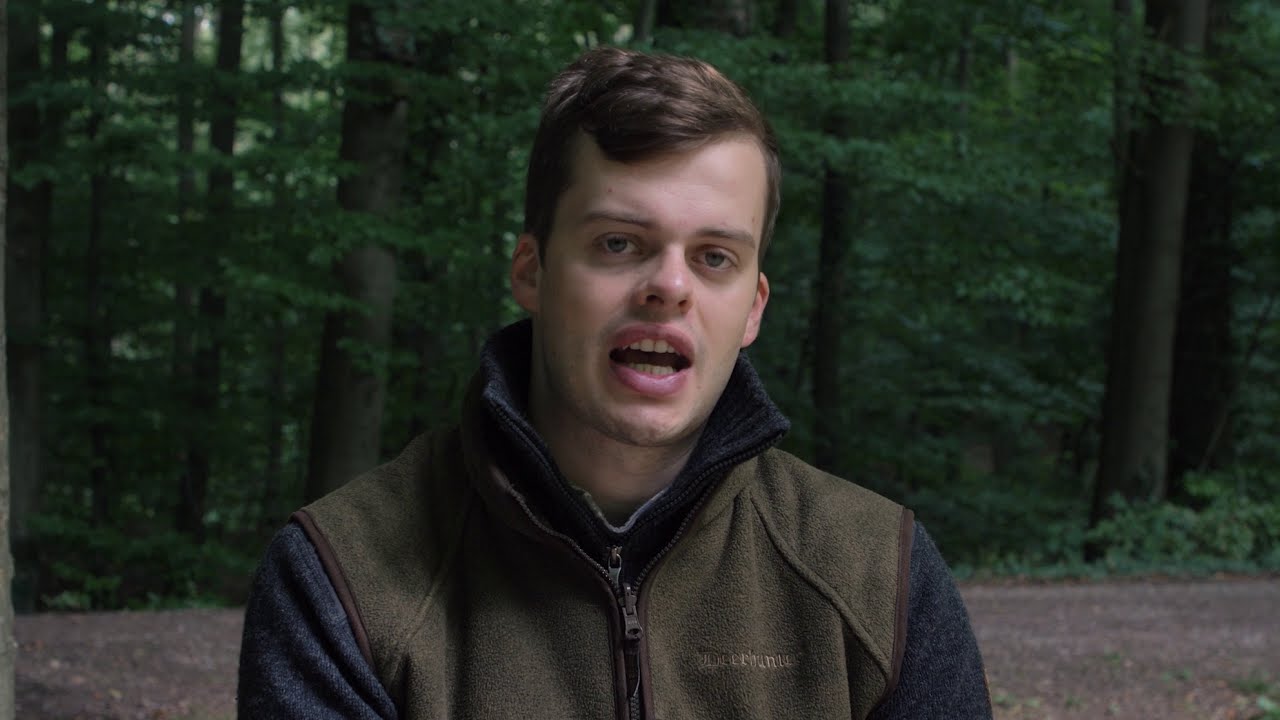 Rotwildjagd im August – Hunt on Demand Free Episode – Auf Kahlwild im ...