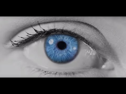 Solex Thermal Science: Who Are We?