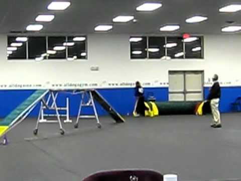 CPE Level 1 Colors