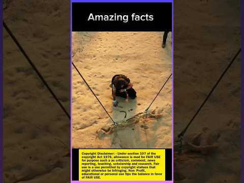 Amazing facts about kalki 2898 ad #tollywoodnews #telugumovies #telugucinema #ytshorts #shorts