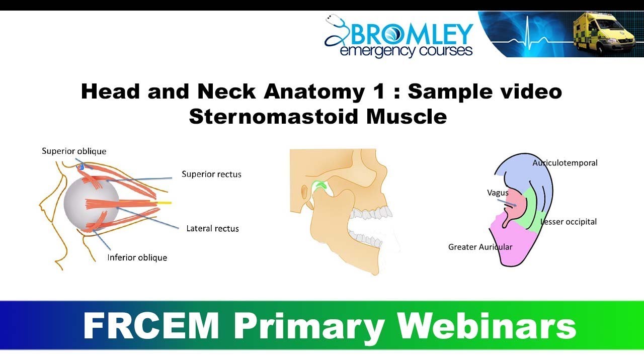 MRCEM Primary Webinar: Head Neck Anatomy 1 - Sample Video