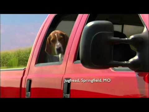 Allan Niles with Shelter Insurance – Working Lawton