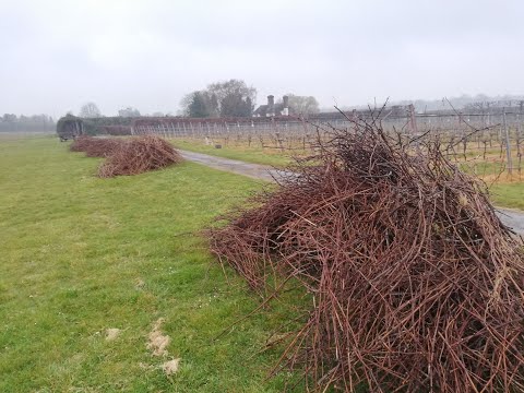 Using biochar to lock carbon into soils: Grant project