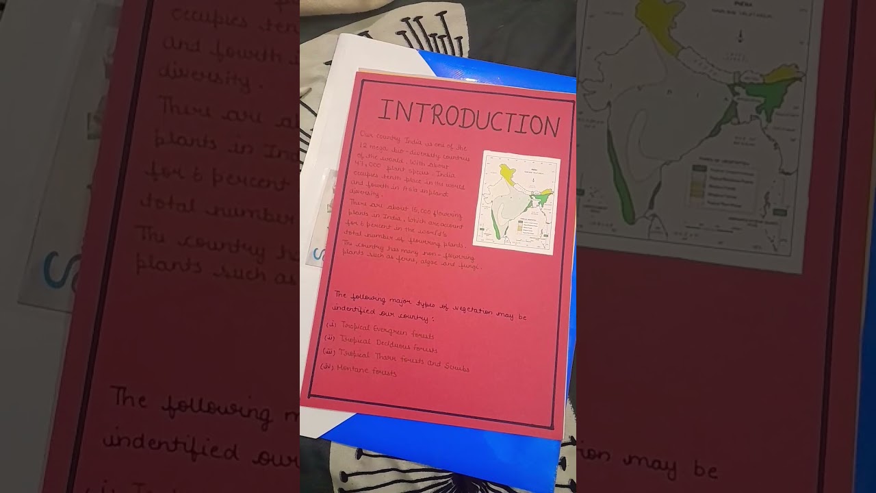 INTERDISCIPLINARY PROJECT | SST | section1 | #jahnavi #interdisciplinary #project #SST #file