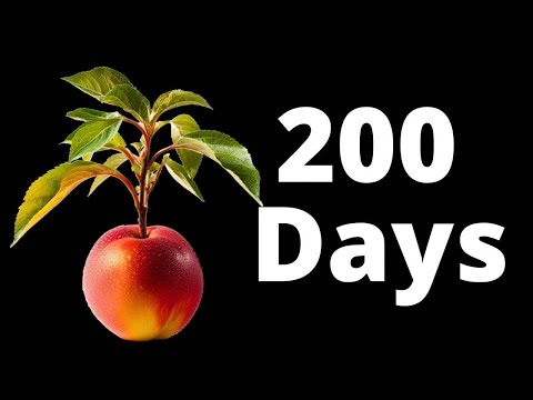 Growing a NECTARINE Tree from Seed in Timelapse! (200 Days)