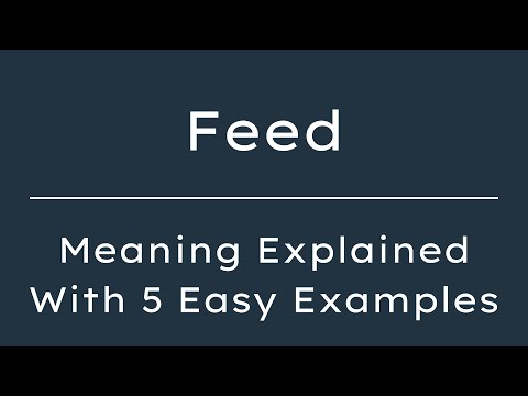 What Does Feed Mean? Feed Meaning in English With 5 Example Sentences