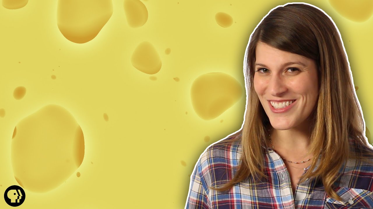 What Lives In Cheese?