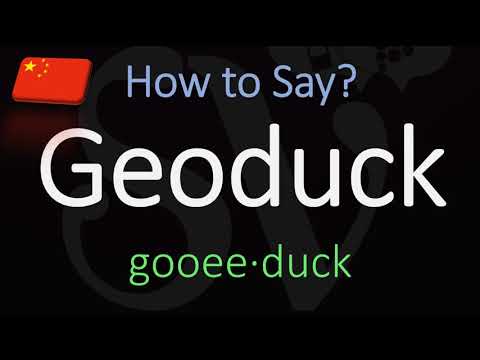 How to Pronounce Geoduck? (CORRECTLY) Meaning & Pronunciation
