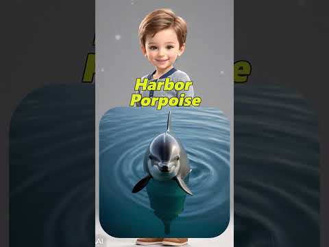 Kids' Zoo | Awesome Animals with Names Starting with H
