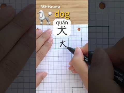 Learn Chinese Character⎮Quan: DOG⎮Handwriting⎮Chinese Hanzi⎮Write Chinese⎮Millie Mandarin