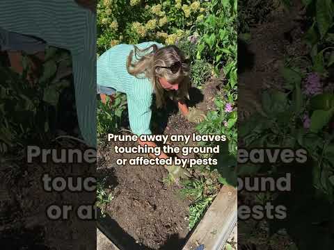 You don’t need pesticides to grow: here’s how to grow more, ORGANICALLY #garden #plants #pesticides