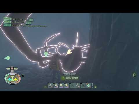 Steam Community :: Video :: wolf spider no-hit fist only (with an ...