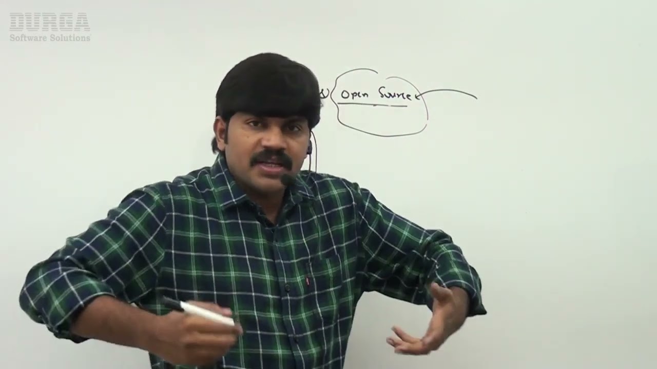 Limitations and Flavors of Python