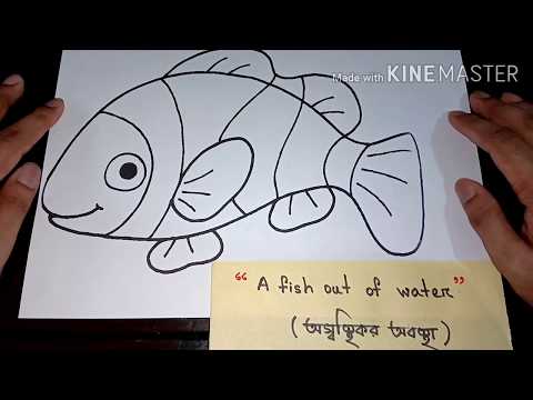 A Fish out of Water | Idioms and Phrases with Picture | BCS | Banks | Admission