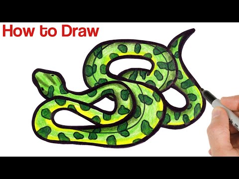 How to Draw Anaconda Python Snake | Easy Animals Drawings
