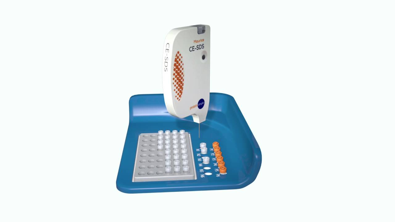 Maurice S. Video - IgG Purity and Heterogeneity| Bio-Techne