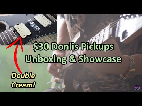 Ordered some Donlis pickups from Ali Express - Guitar Discussions on ...