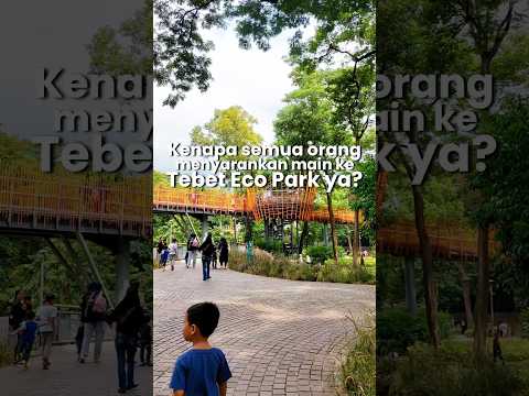 Kenapa Tebet Eco Park Itu Paling Direkomendasikan Orang Untuk Liburan Ya? #tebetecopark #playground