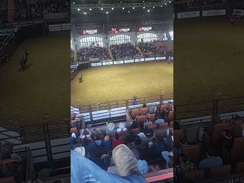 Fiesta Del Toro Ring Toss #pbr #stockyards #ubf